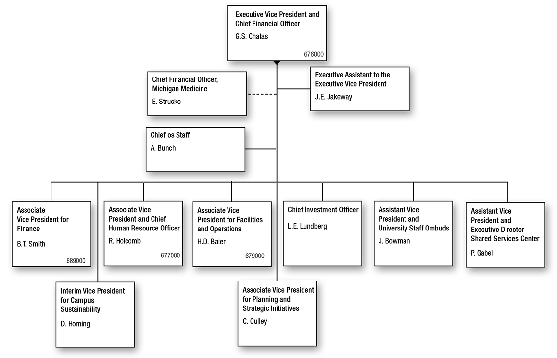 Chief Financial Officer Organization Chart